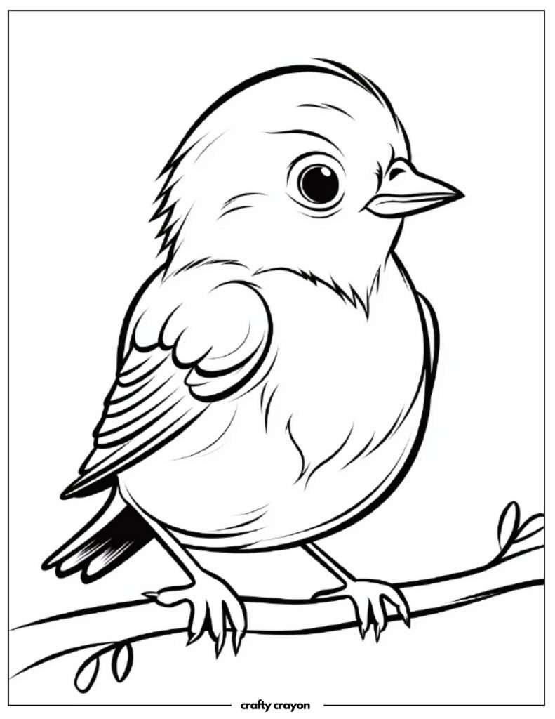20 Beautiful Bird Coloring Pages For Kids And Adults (Free PDF Printables)