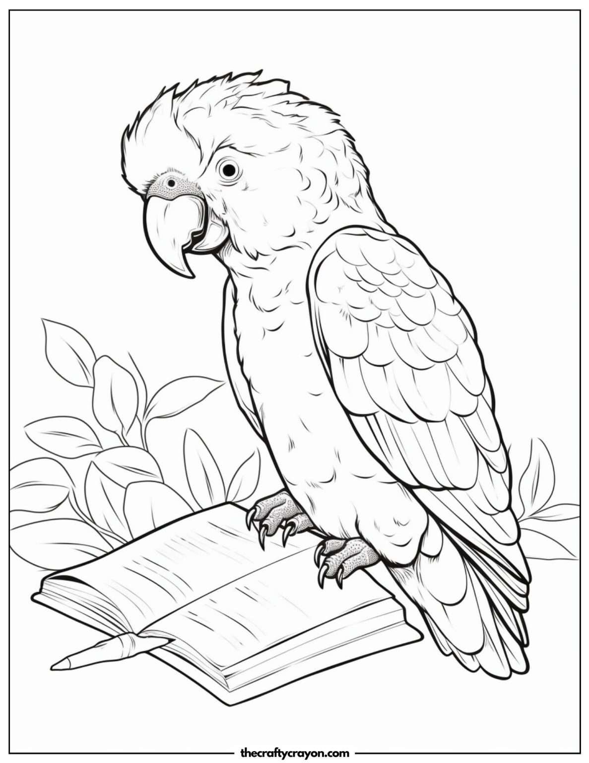 Parrot Coloring Pages (Free PDF Printables)