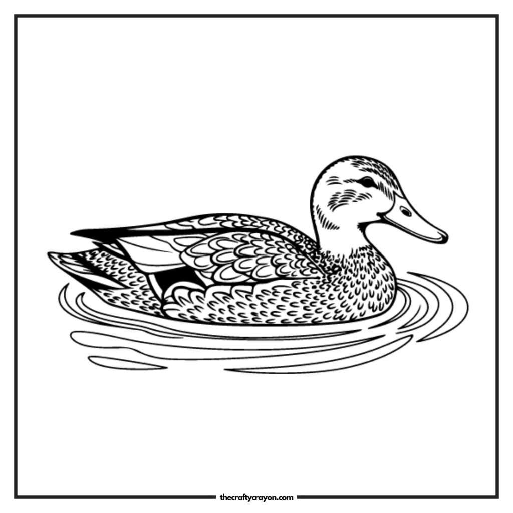 20 Fun Farm Animal Coloring Pages (Free PDF Printables)
