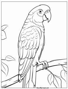 Parrot Coloring Pages (Free PDF Printables)