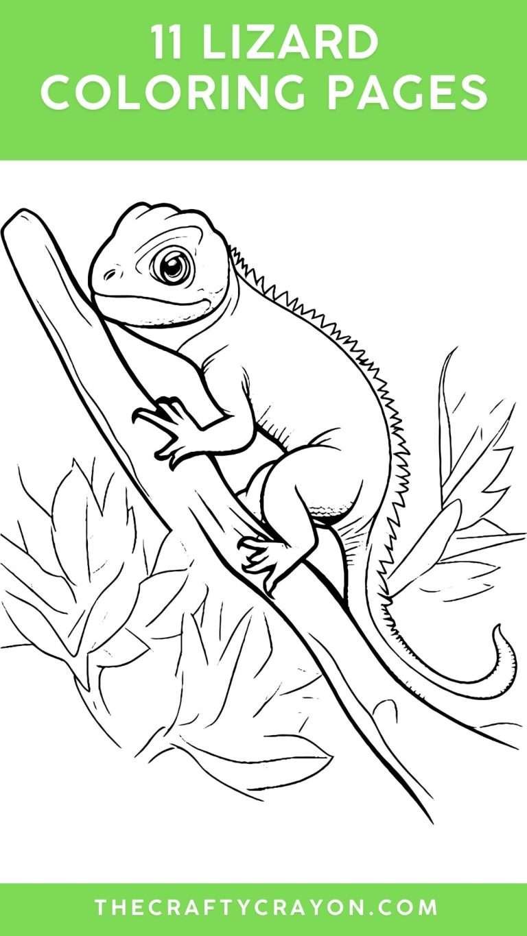 11 Cool Lizard Coloring Pages
