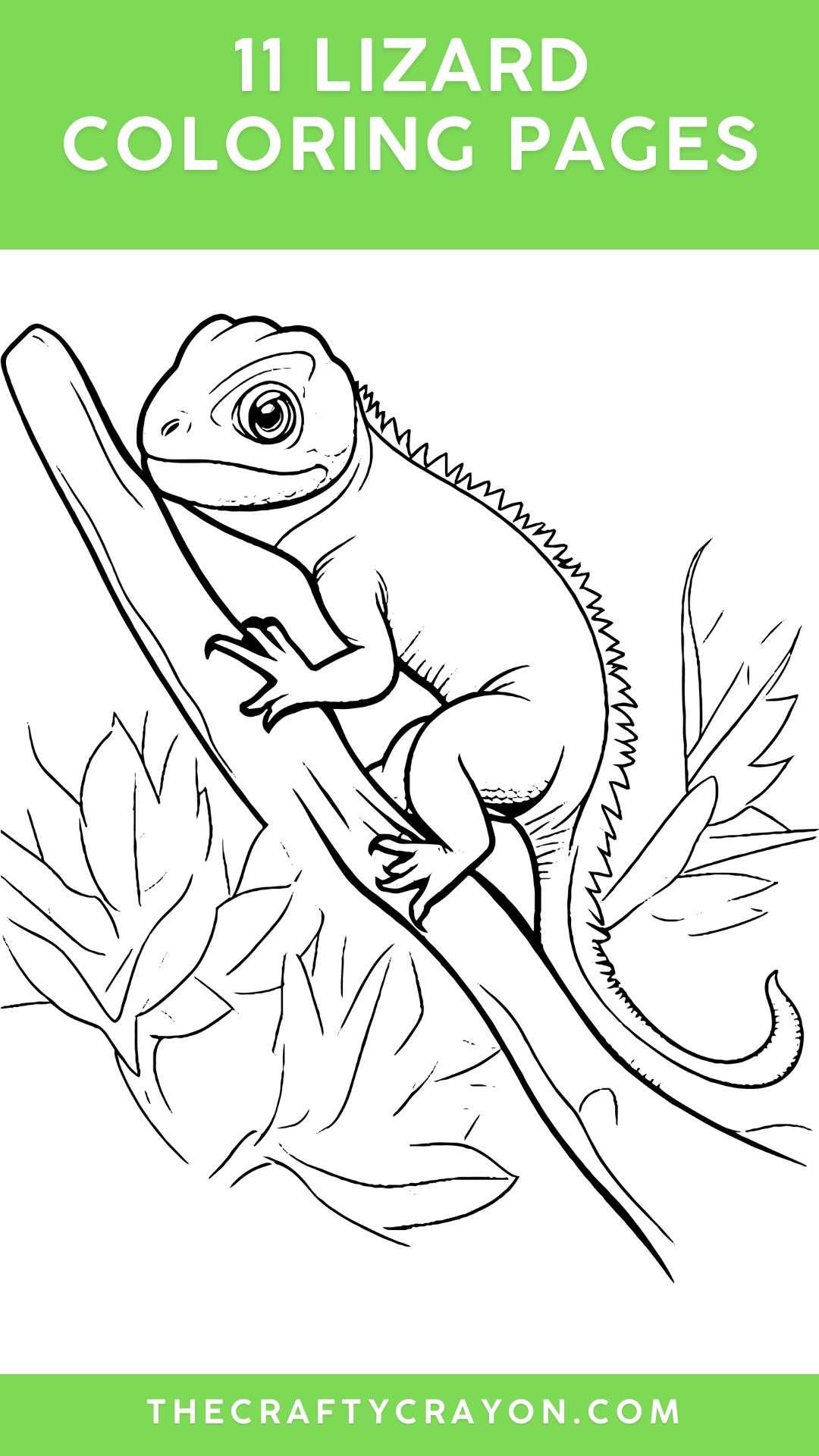 11 Cool Lizard Coloring Pages