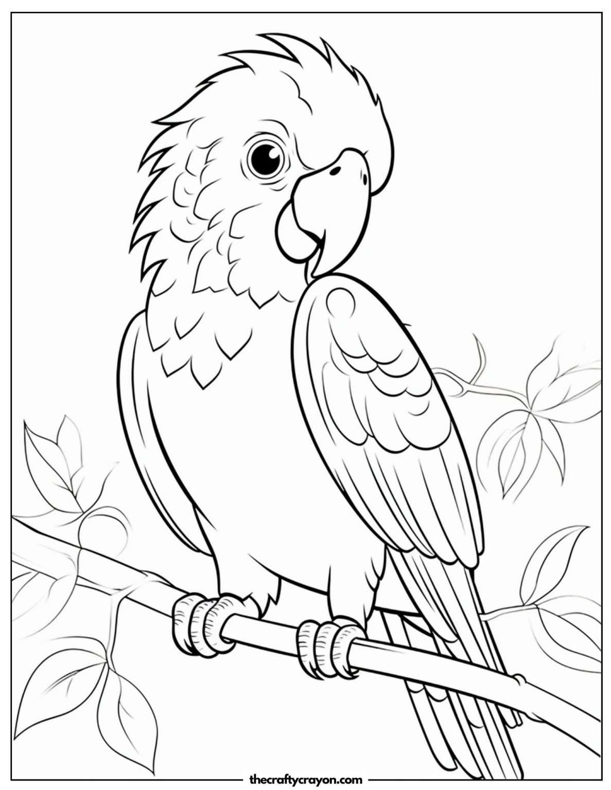 Parrot Coloring Pages (Free PDF Printables)