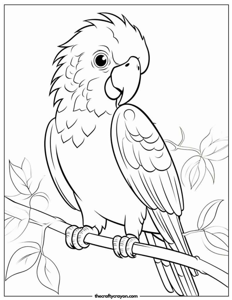 Parrot Coloring Pages (Free PDF Printables)