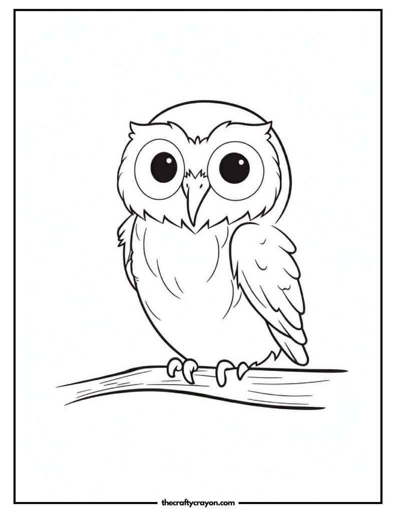 20 Owl Coloring Pages (Free PDF Printables)
