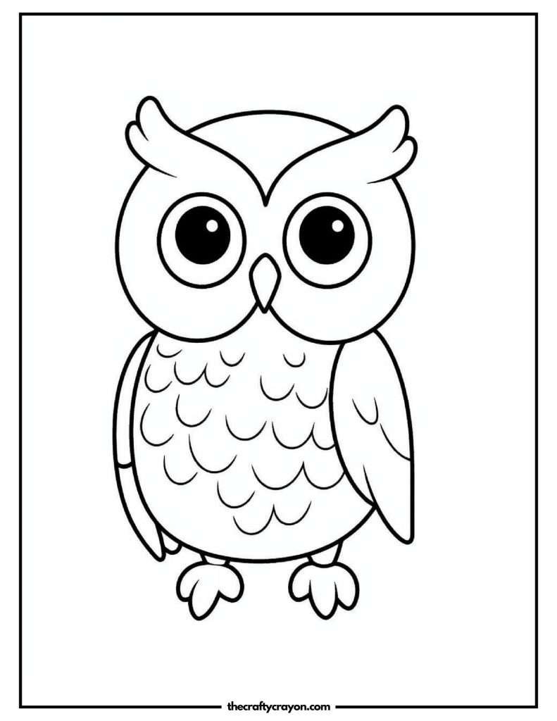 20 Owl Coloring Pages (Free PDF Printables)