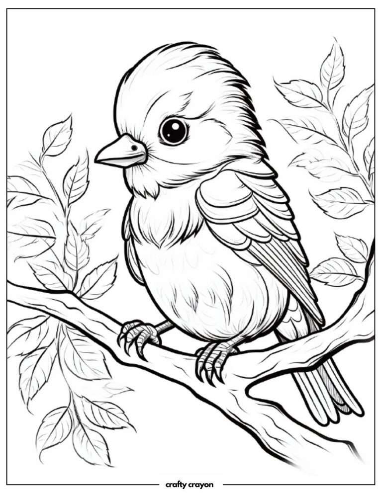 20 Beautiful Bird Coloring Pages For Kids And Adults (Free PDF Printables)