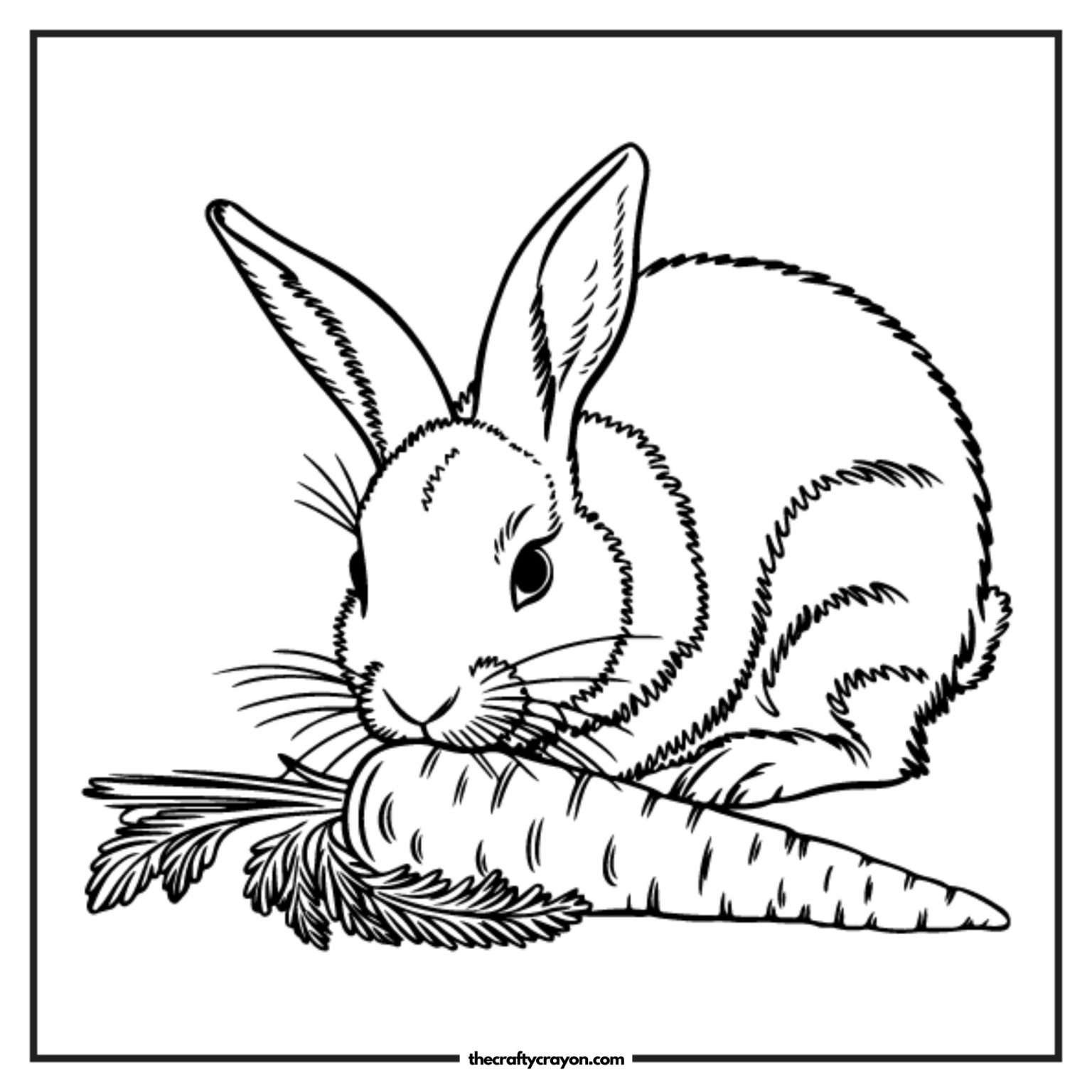 20 Fun Farm Animal Coloring Pages (Free PDF Printables)