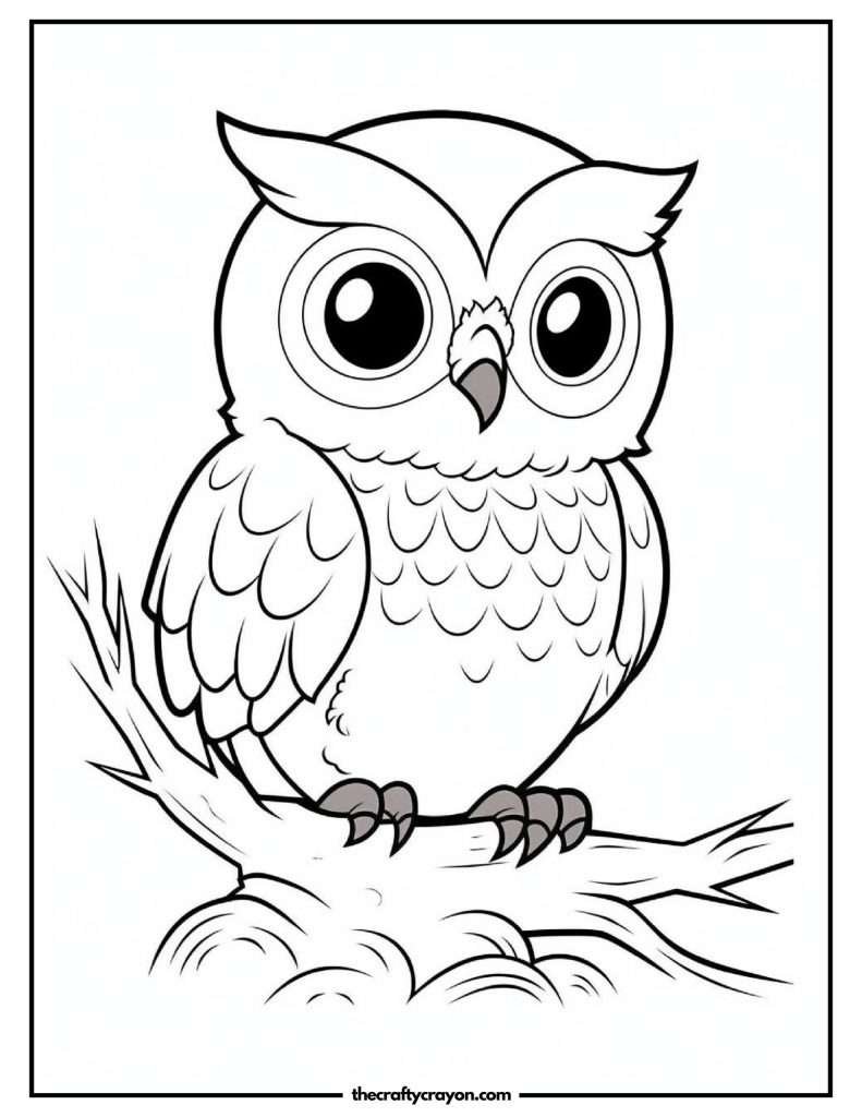 20 Owl Coloring Pages (Free PDF Printables)