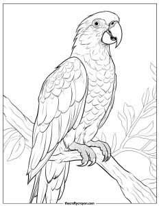 Parrot Coloring Pages (Free PDF Printables)