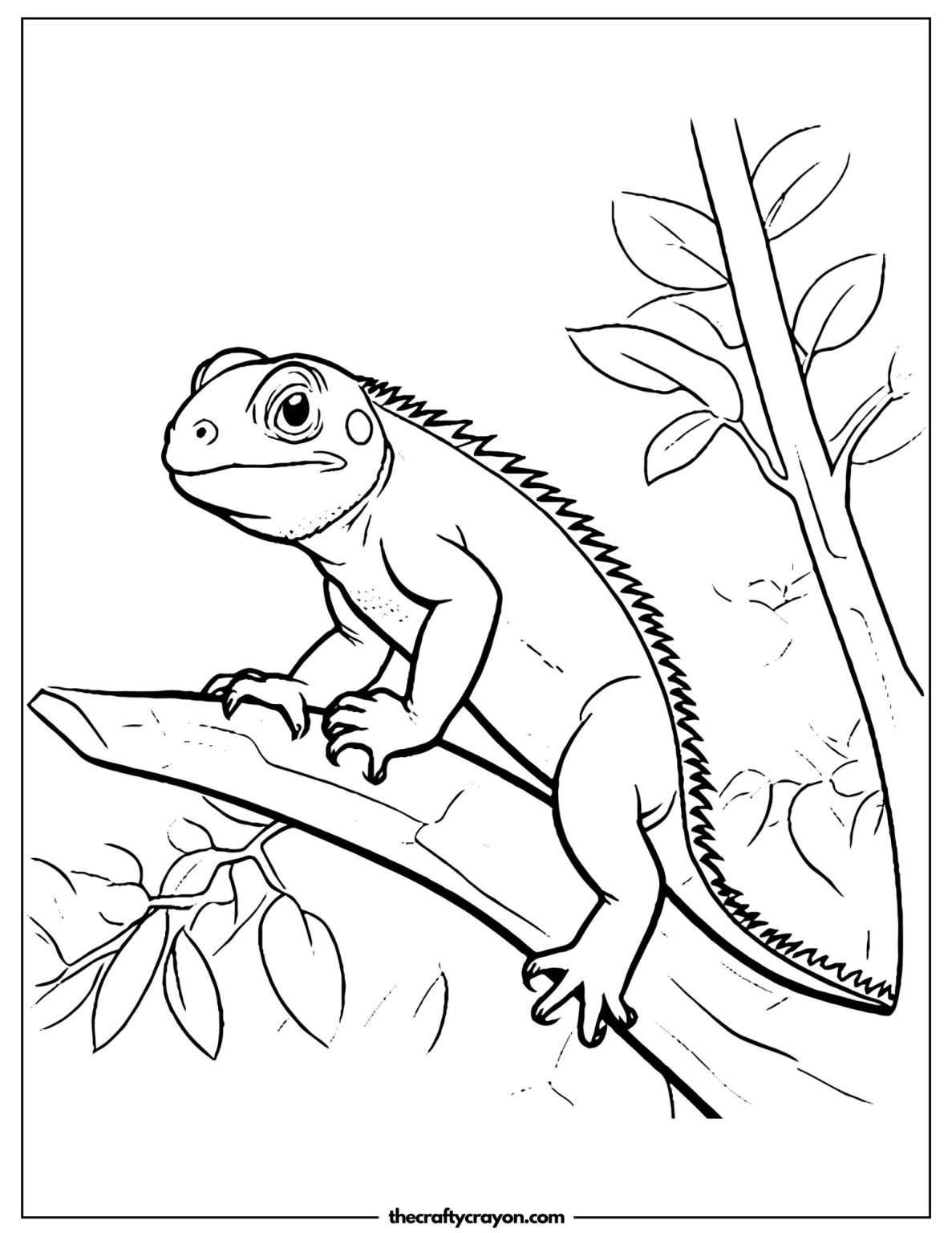 11 Cool Lizard Coloring Pages