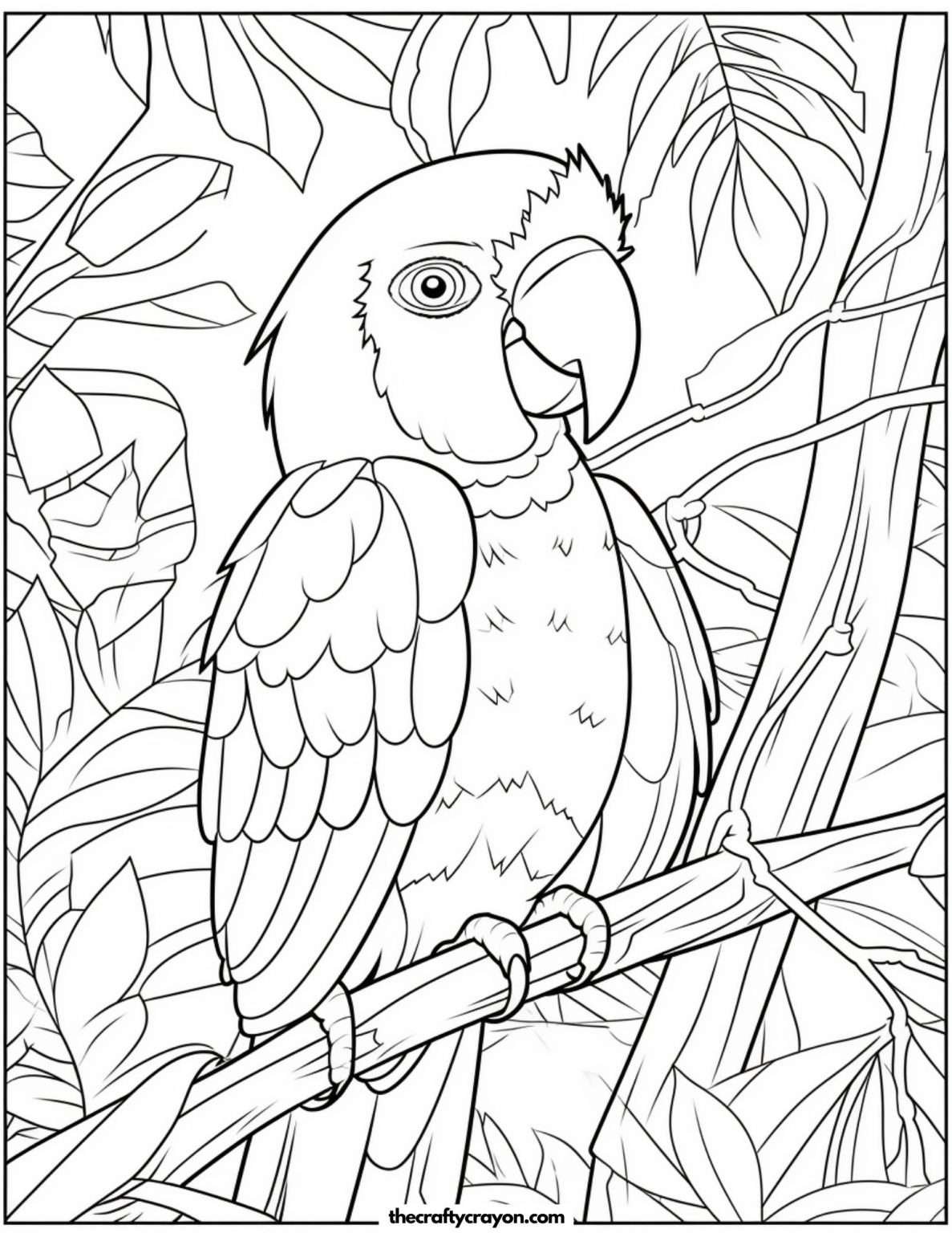 Parrot Coloring Pages (Free PDF Printables)