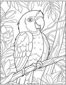 Parrot Coloring Pages (Free PDF Printables)
