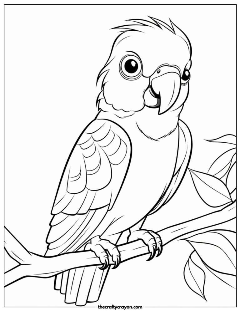Parrot Coloring Pages (Free PDF Printables)