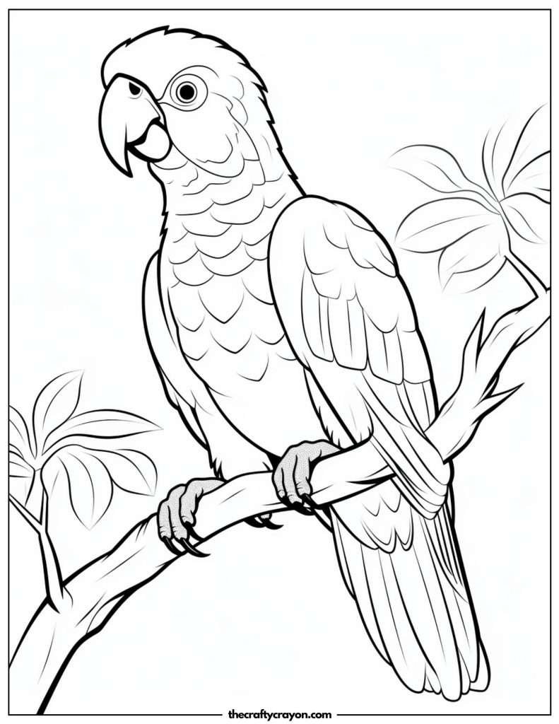 Parrot Coloring Pages (Free PDF Printables)