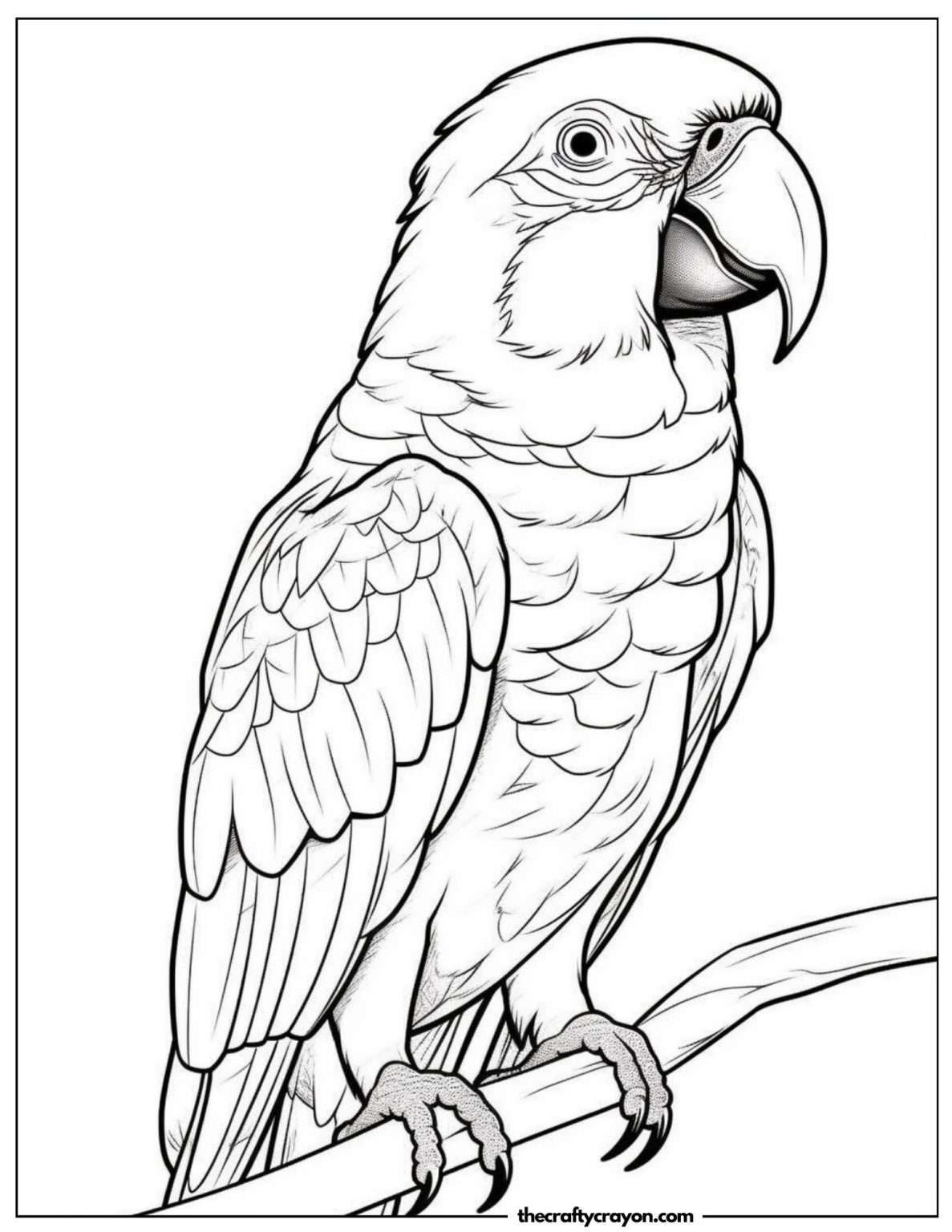 Parrot Coloring Pages (Free PDF Printables)