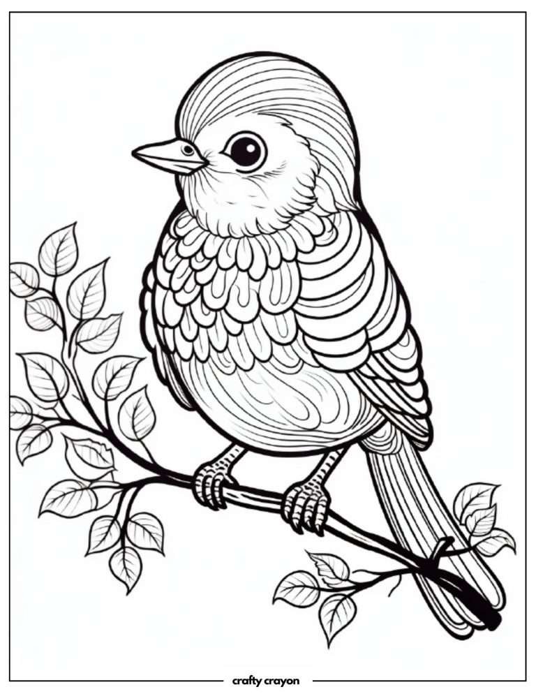 20 Beautiful Bird Coloring Pages For Kids And Adults (Free PDF Printables)