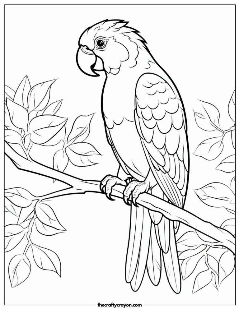 Parrot Coloring Pages (Free PDF Printables)