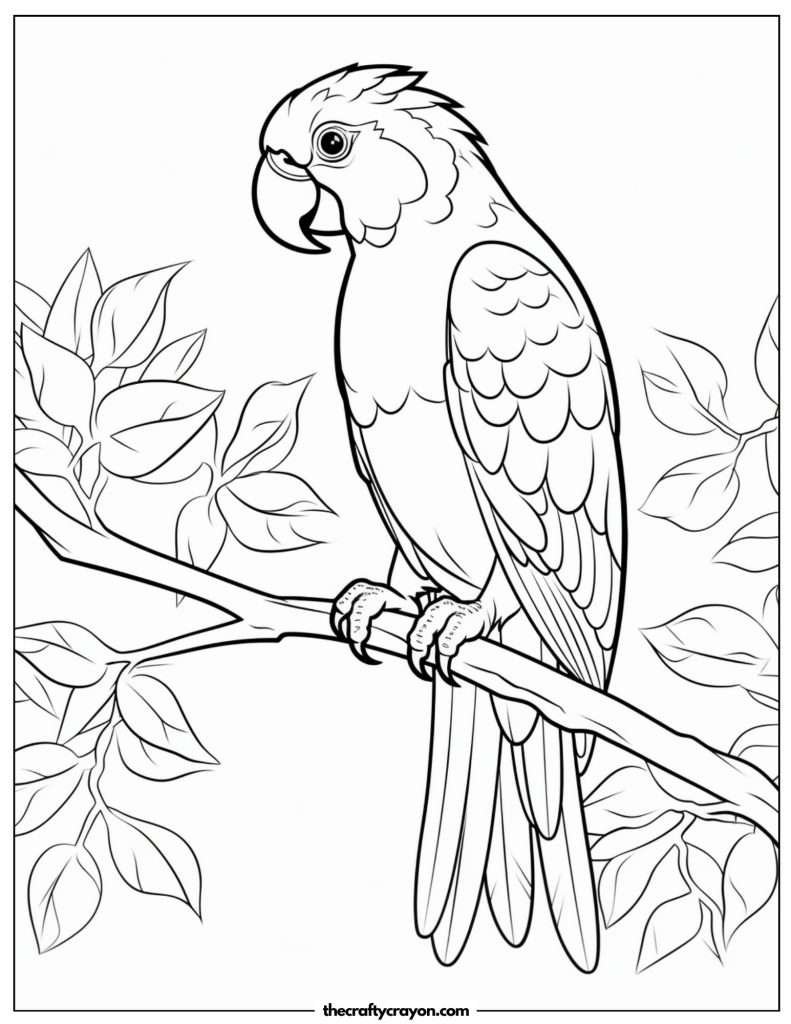 Parrot Coloring Pages (Free PDF Printables)