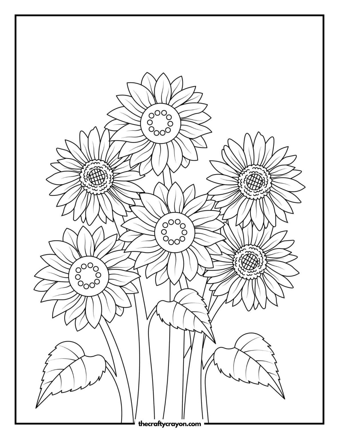 Sunflower Coloring Pages (Free Printable PDFs)