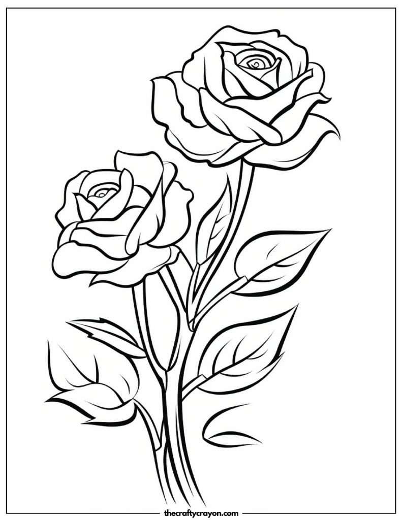 Roses Coloring Pages (Free Printable PDFs)