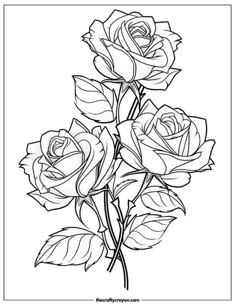 Roses Coloring Pages (Free Printable PDFs)