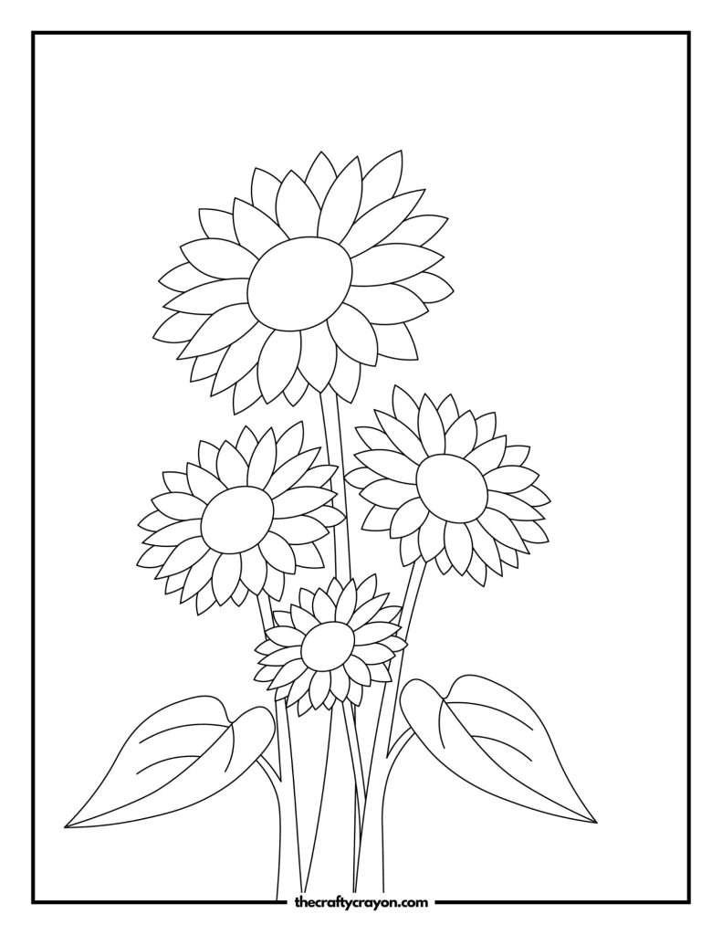 Sunflower Coloring Pages (Free Printable PDFs)