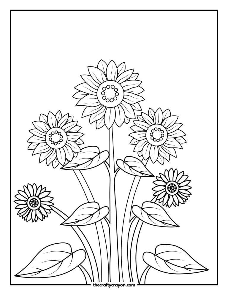Sunflower Coloring Pages (Free Printable PDFs)