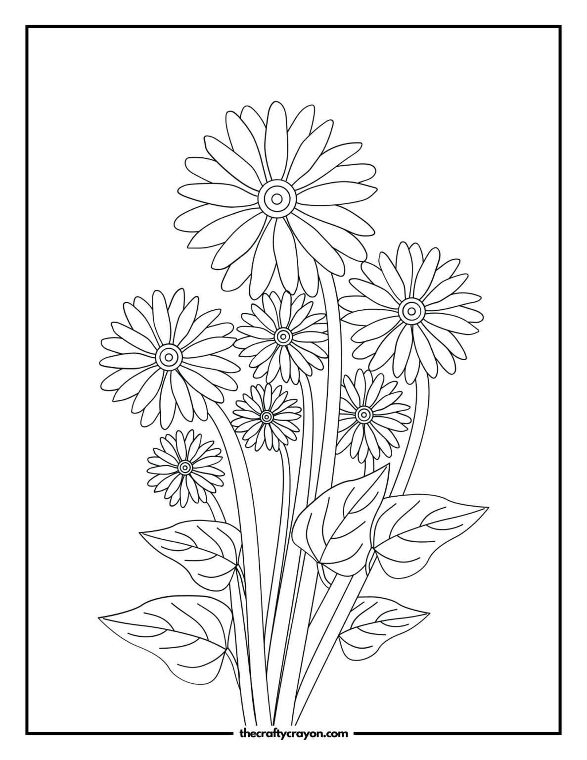 Sunflower Coloring Pages (Free Printable PDFs)