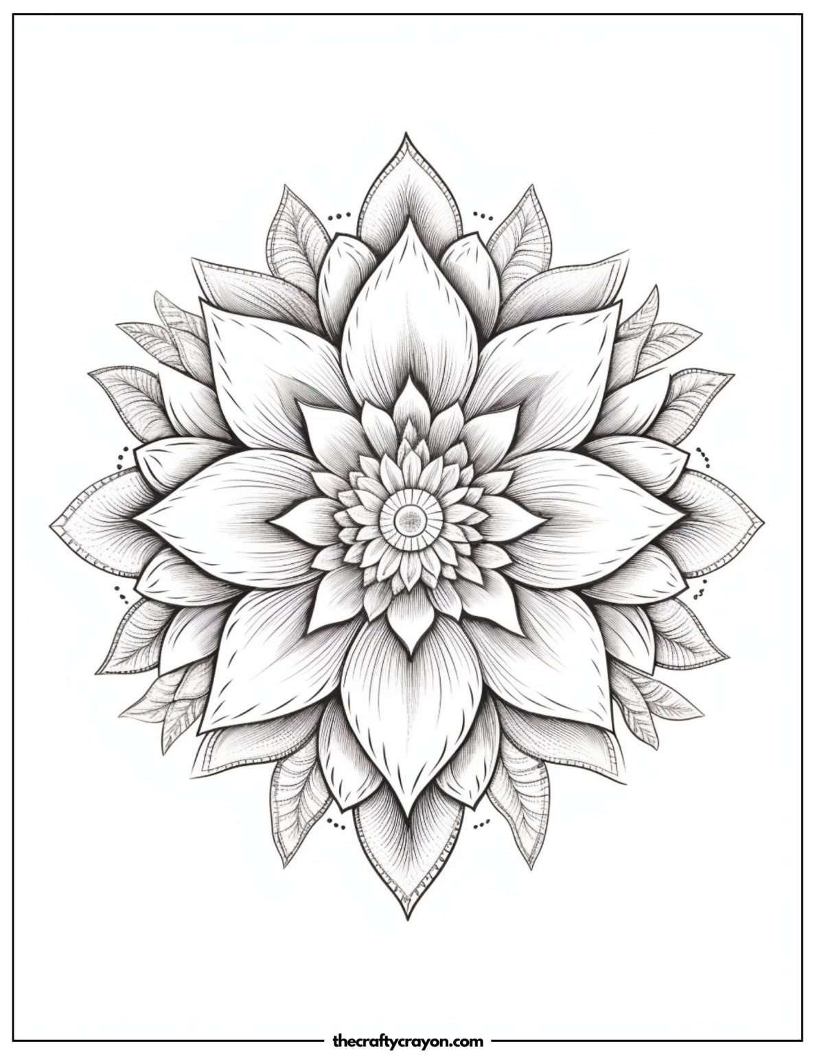 12 Beautiful Flower Mandala Coloring Pages For All Ages