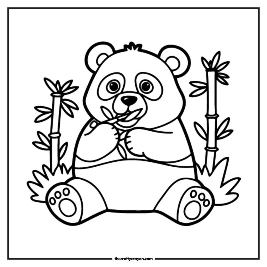 Zoo Coloring Pages (Free Printable PDFs)