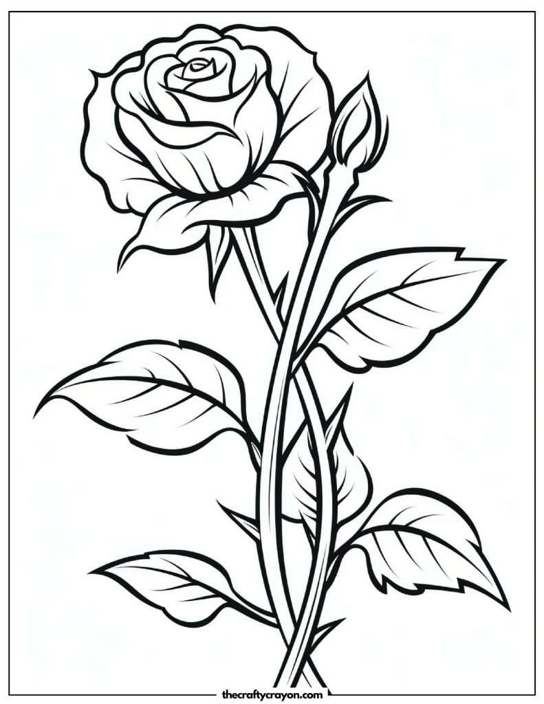 Roses Coloring Pages (Free Printable PDFs)