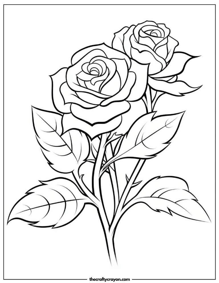 Roses Coloring Pages (Free Printable PDFs)