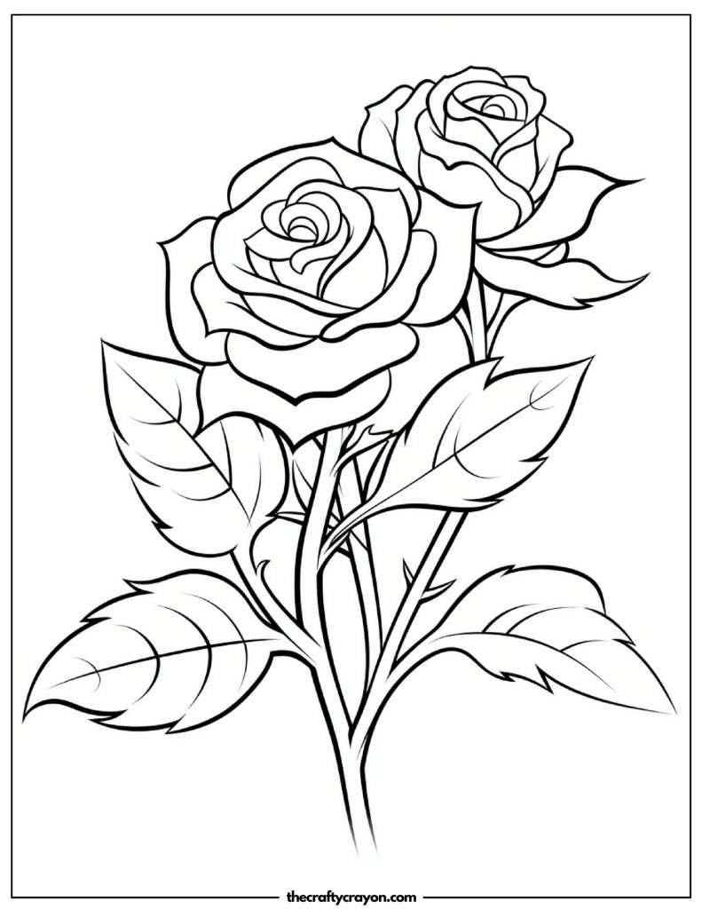 Roses Coloring Pages (Free Printable PDFs)