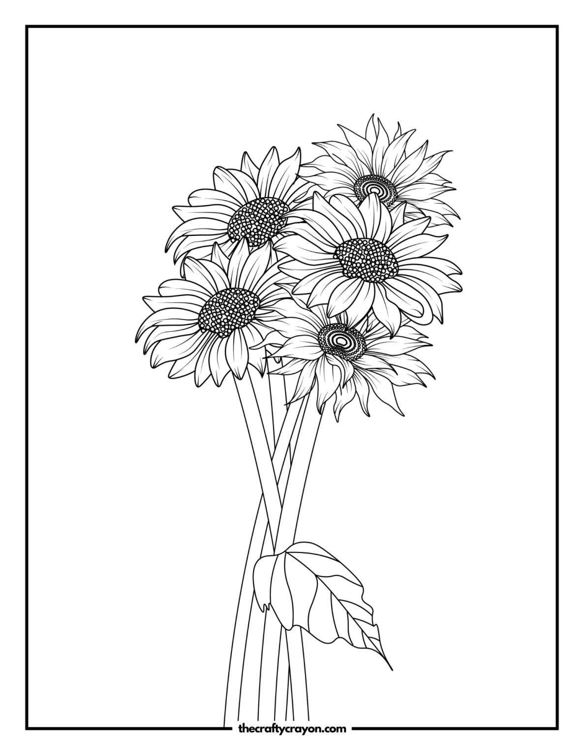 Sunflower Coloring Pages (Free Printable PDFs)