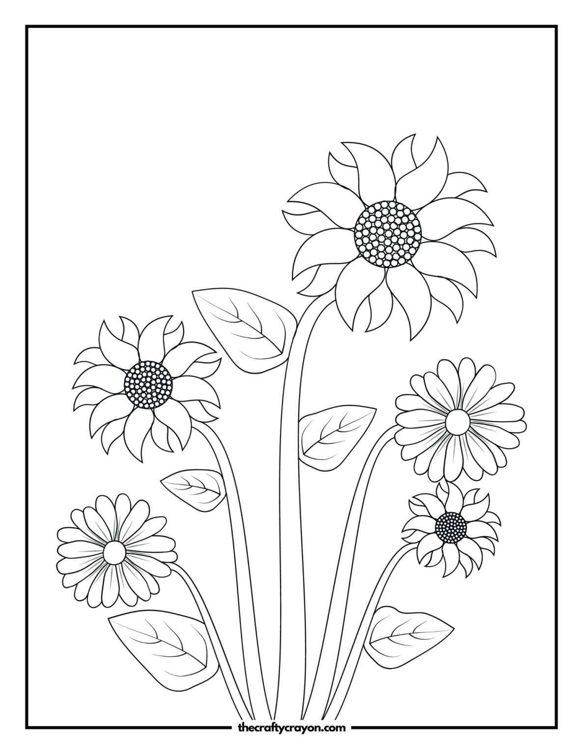 Sunflower Coloring Pages (Free Printable PDFs)