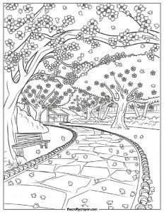Beautiful Nature Coloring Pages
