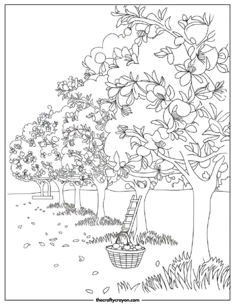 Beautiful Nature Coloring Pages