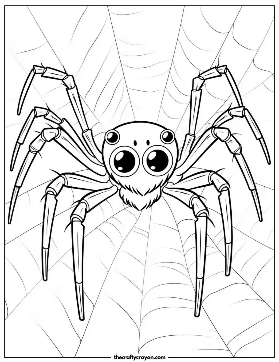 Spider Coloring Pages (Free Printable PDFs)