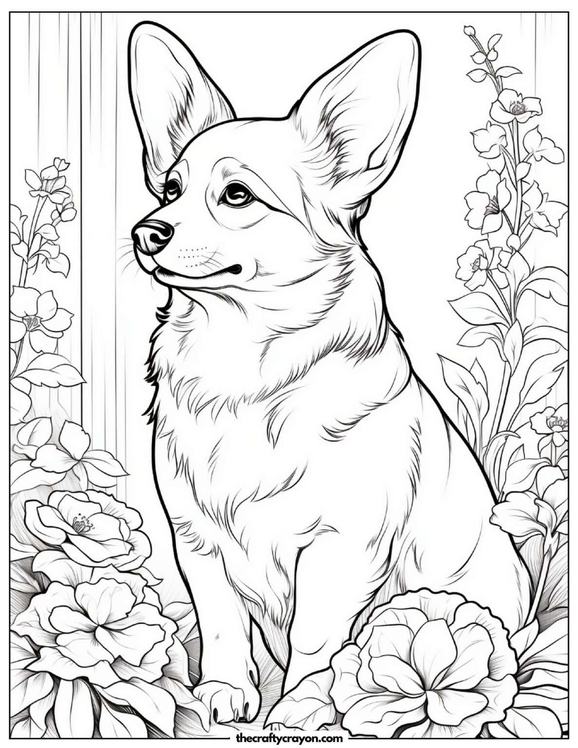Corgi Coloring Pages (Free Printable PDFs)