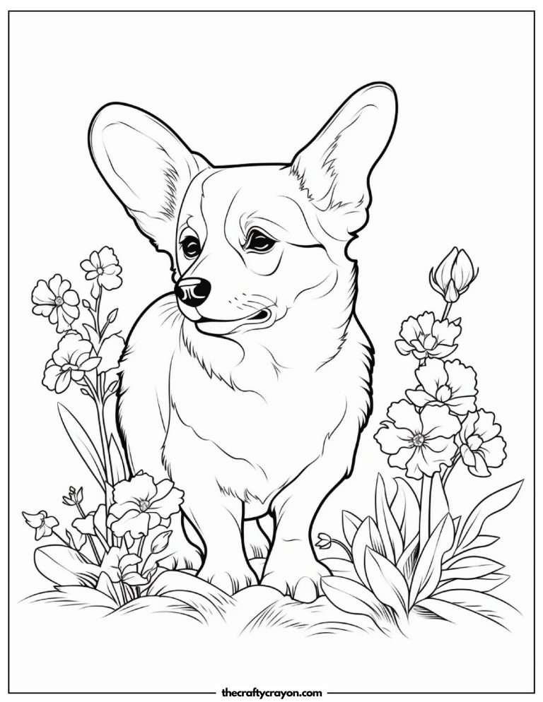 Corgi Coloring Pages (Free Printable PDFs)