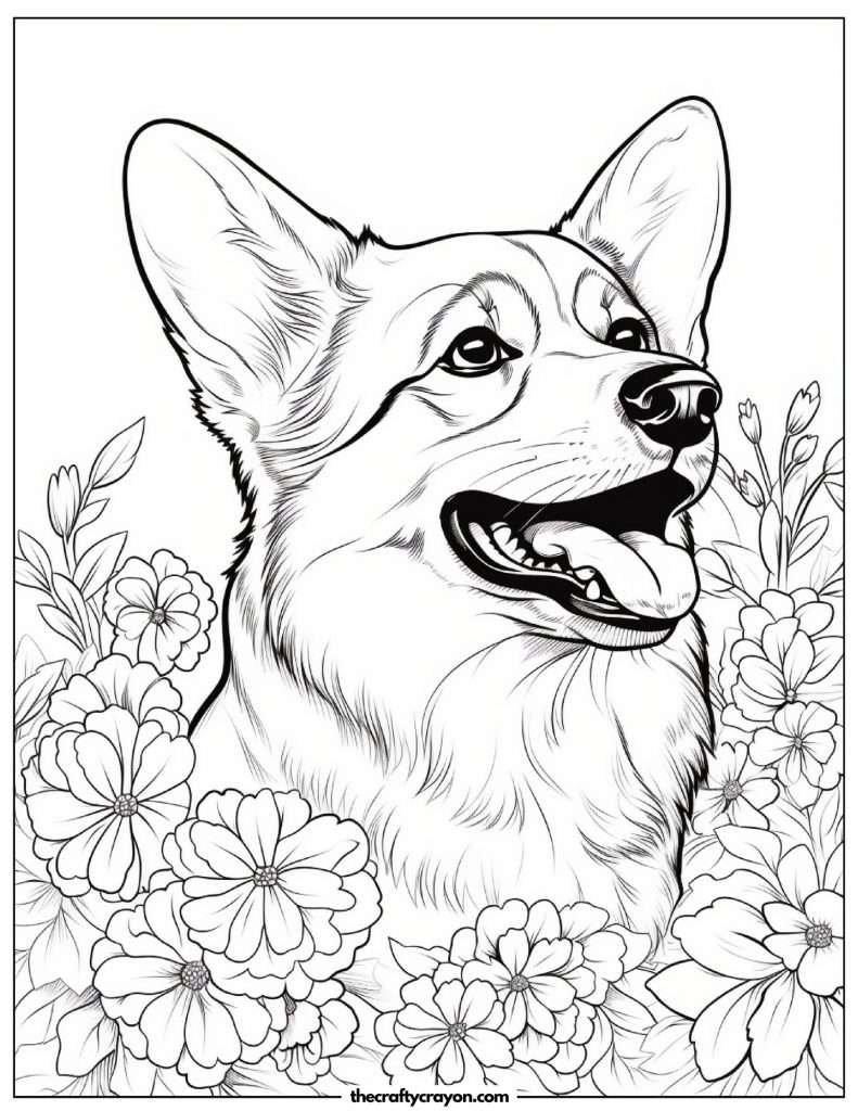 Corgi Coloring Pages (Free Printable PDFs)