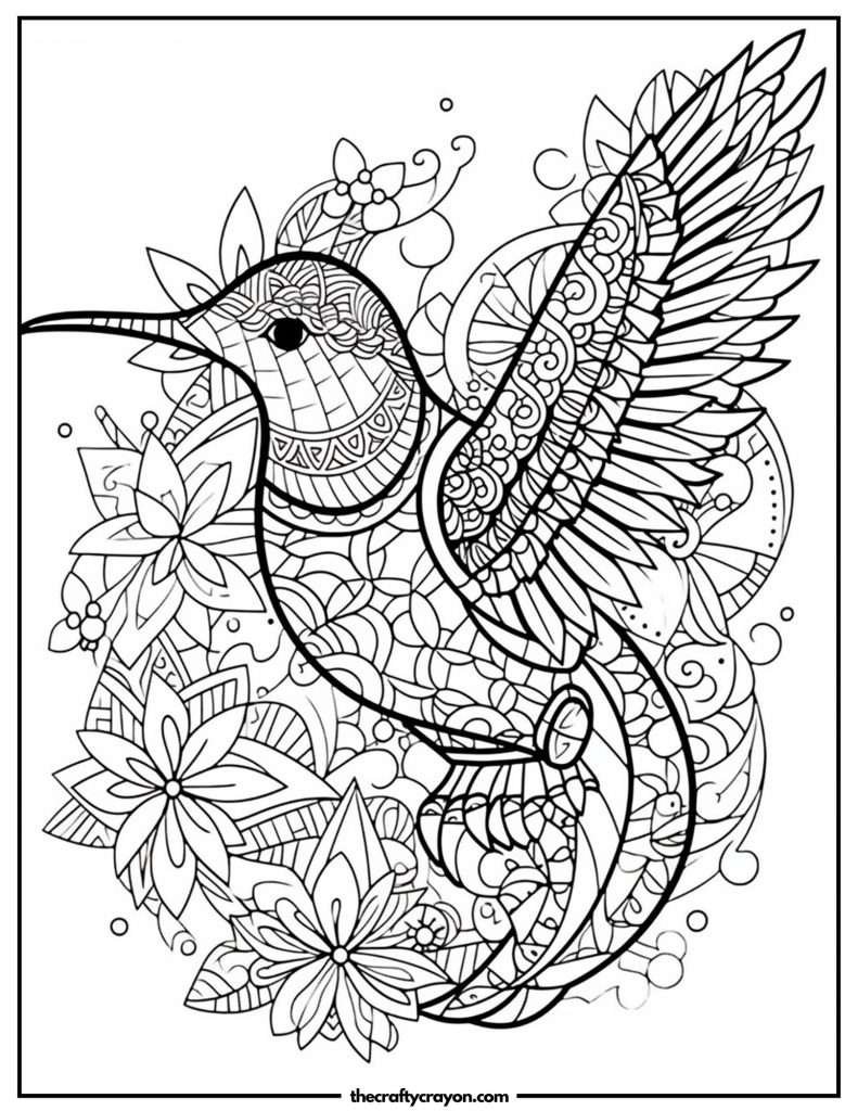 Zentangle Coloring Pages For Adults