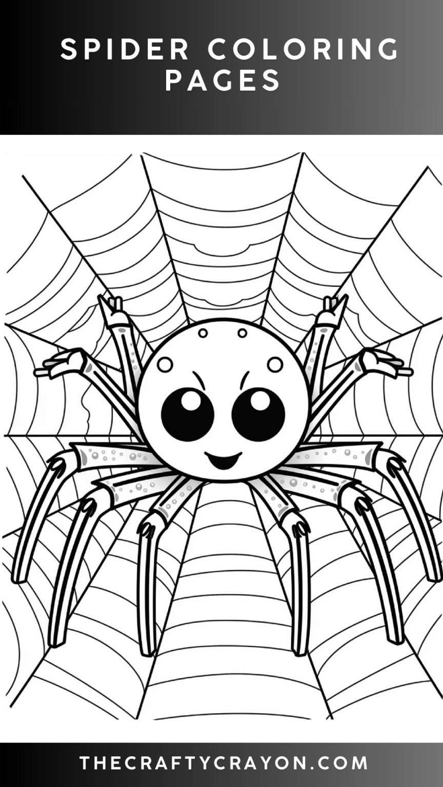 Spider Coloring Pages (Free Printable PDFs)